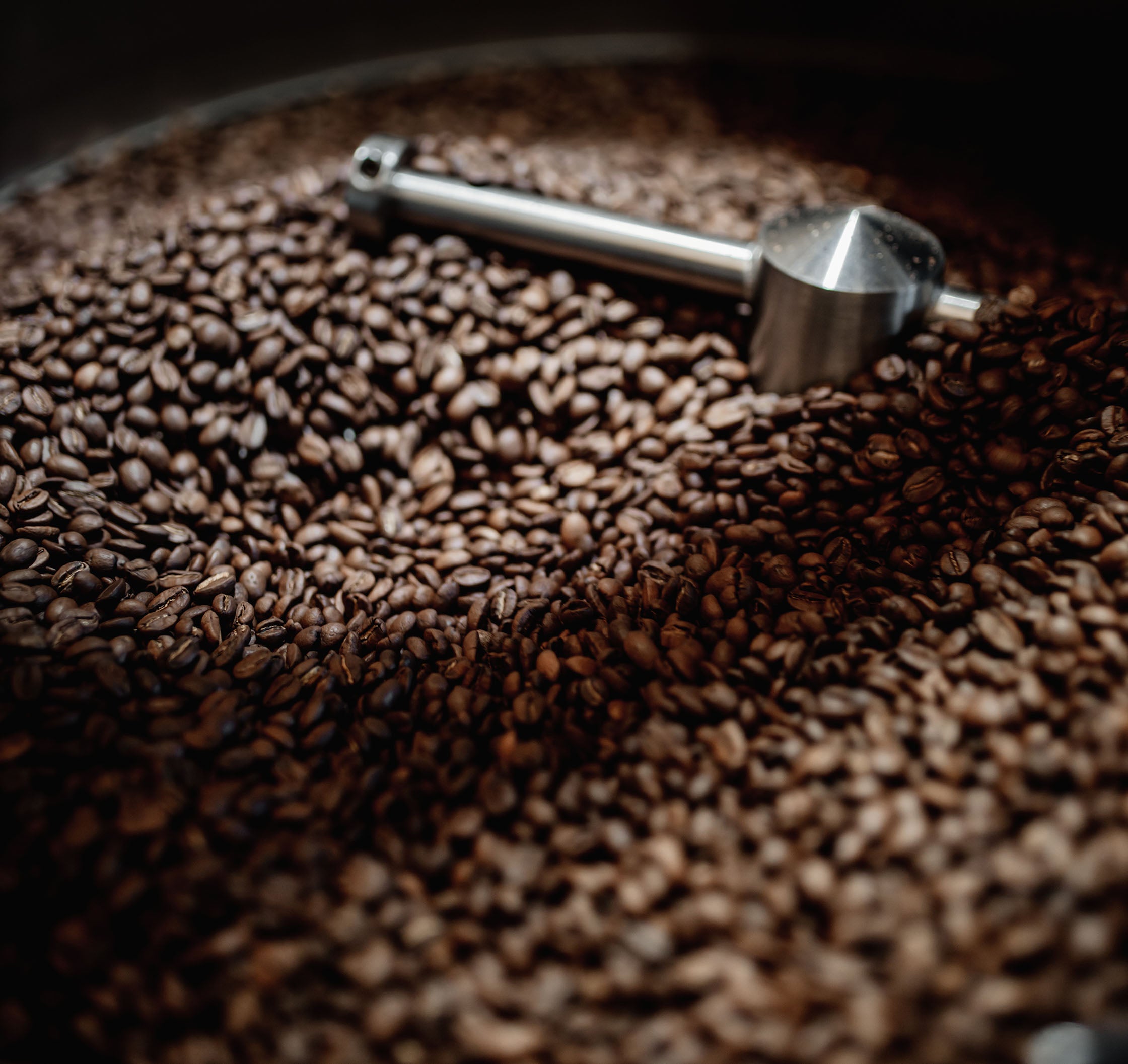 Specialty Coffee Roasters in North Broward – 360Fcoffee